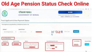 Old Age Pension Status Check Online || - Top Guide